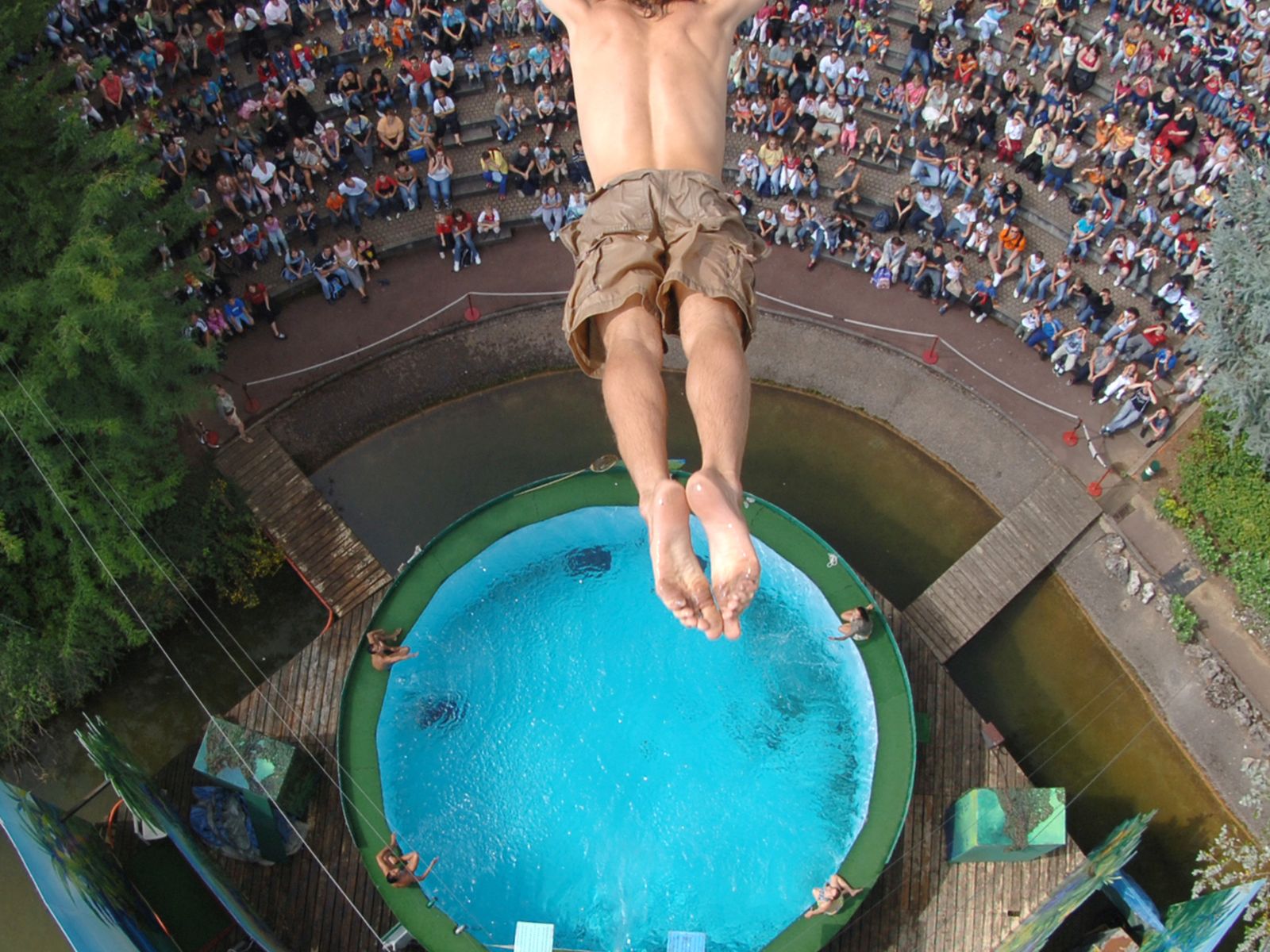 Plongeon de haut et High Diving Show